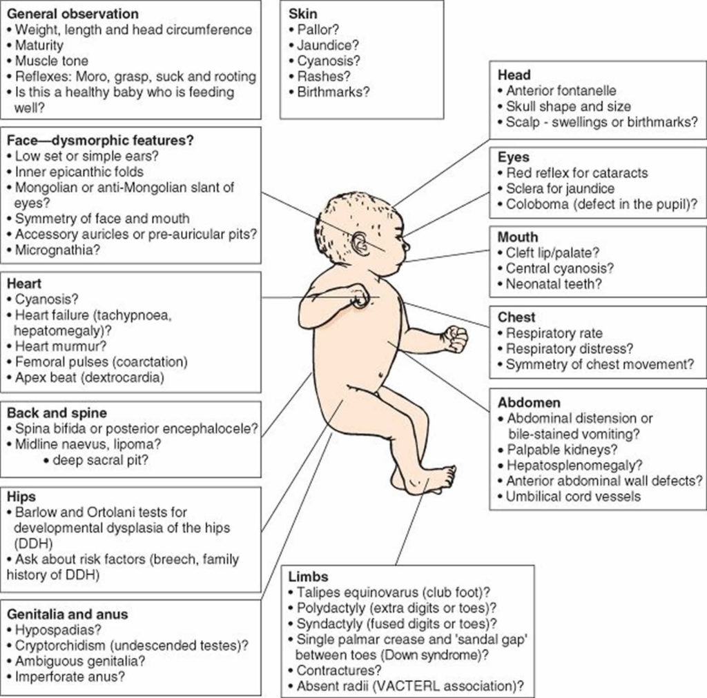 Newborn physical assessment